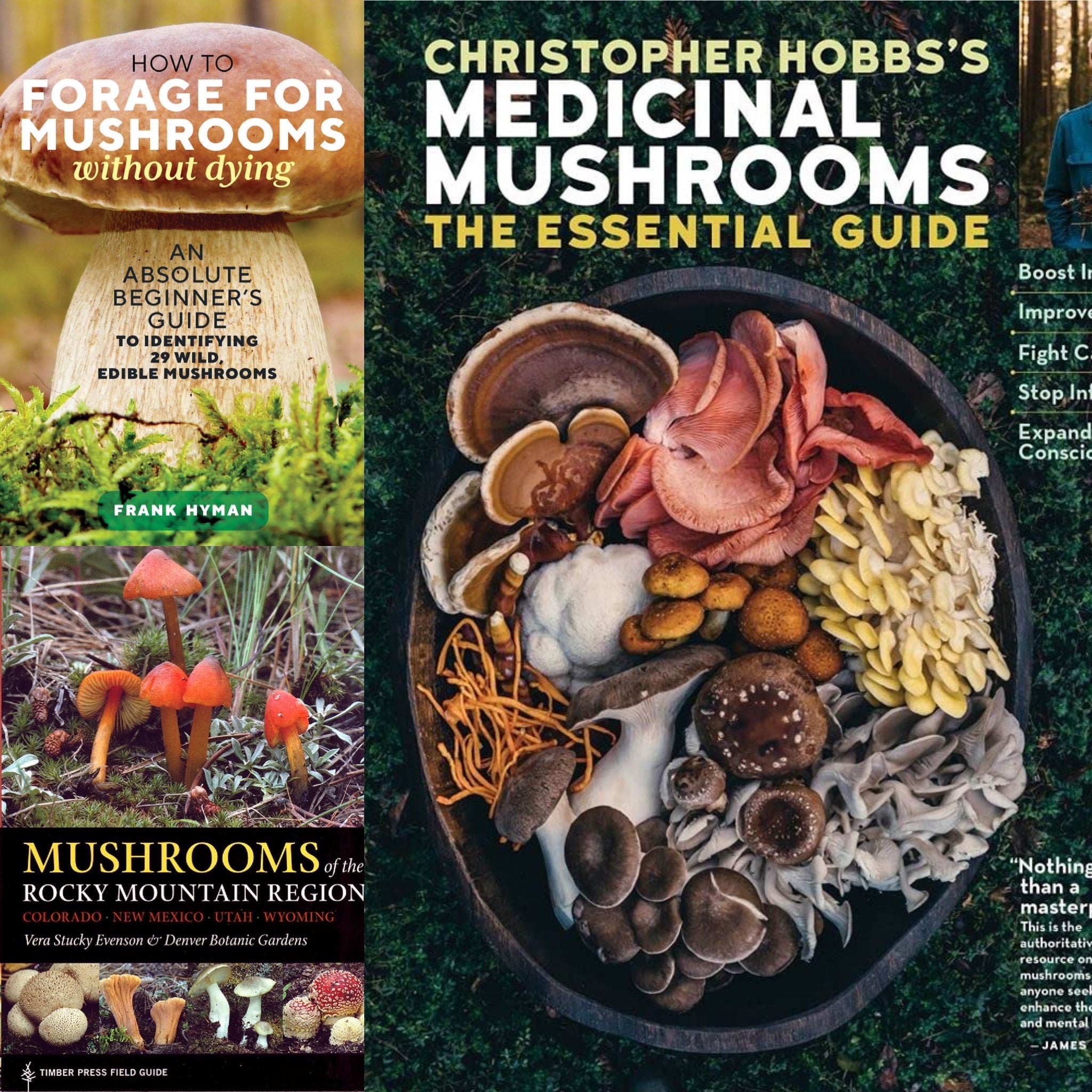 Fungi Books – Mile High Fungi